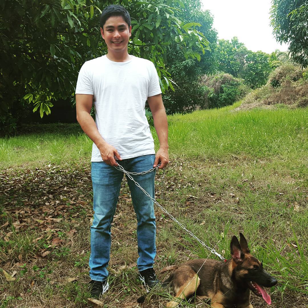 IN PHOTOS: Ang mga cute pets ni Coco Martin! | ABS-CBN Entertainment
