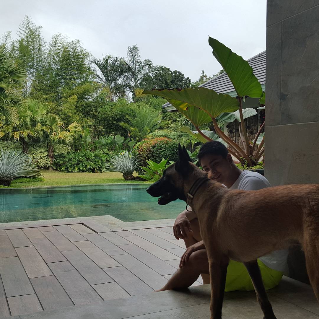 IN PHOTOS: Ang mga cute pets ni Coco Martin! | ABS-CBN Entertainment