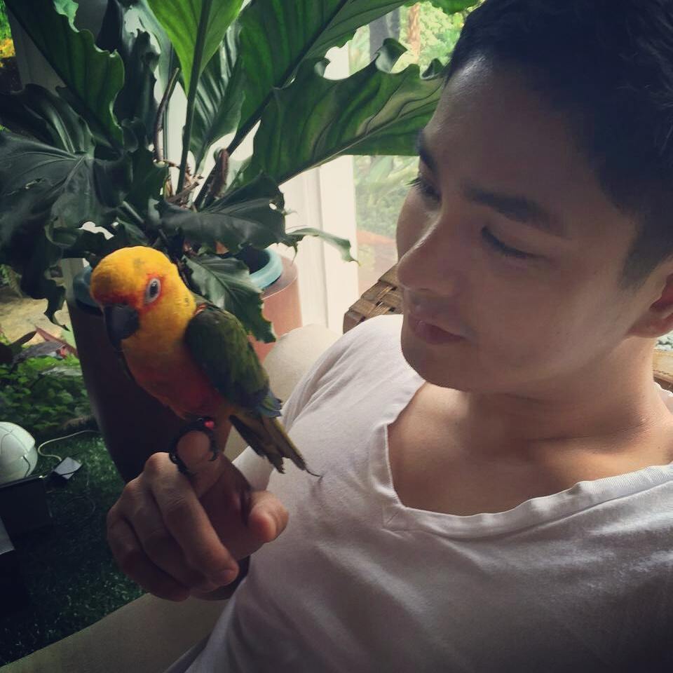 IN PHOTOS: Ang mga cute pets ni Coco Martin! | ABS-CBN Entertainment